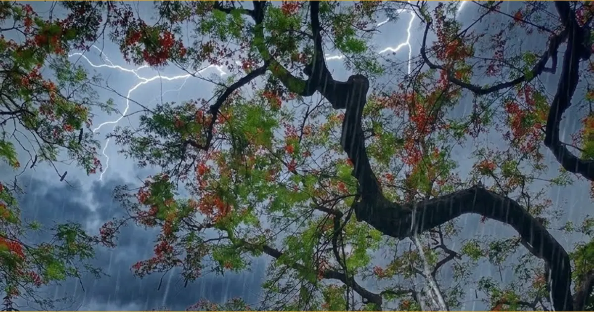 দেশের কিছু জায়গায় মাঝারি বৃষ্টির সম্ভাবনা
