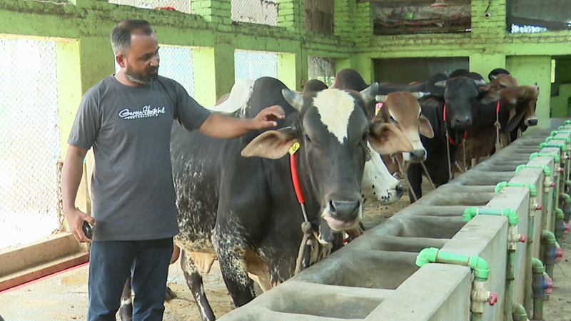 দেশে এখন | এখন টিভি